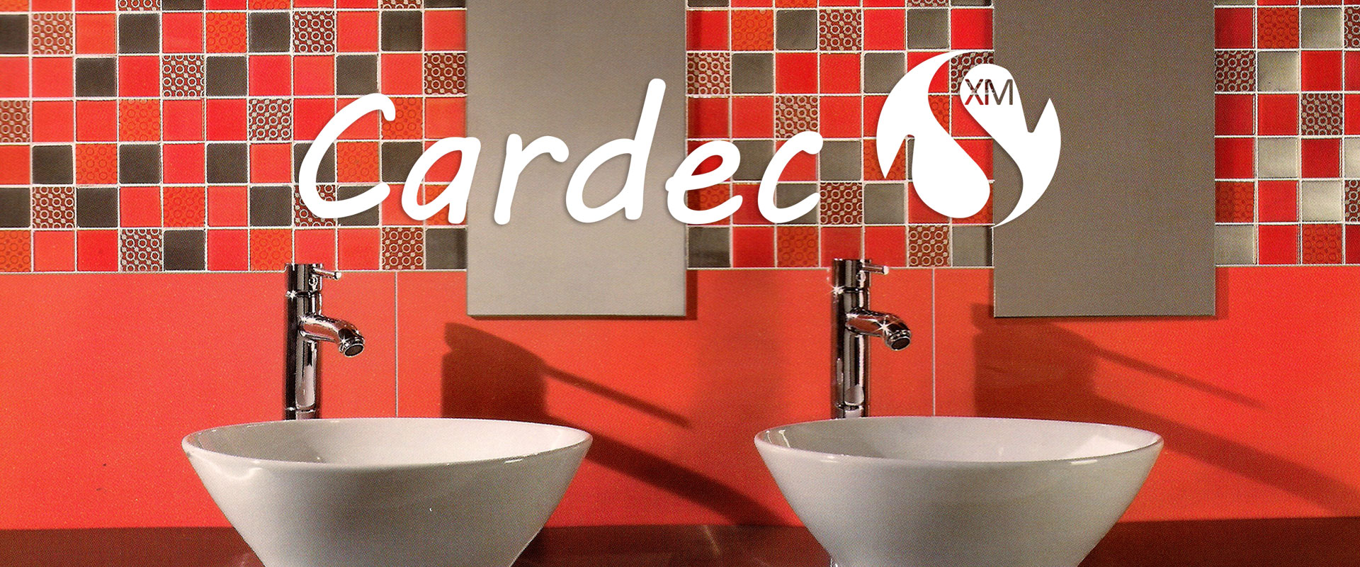 Site internet de Cardec SXM - Saint Martin - IDIM web